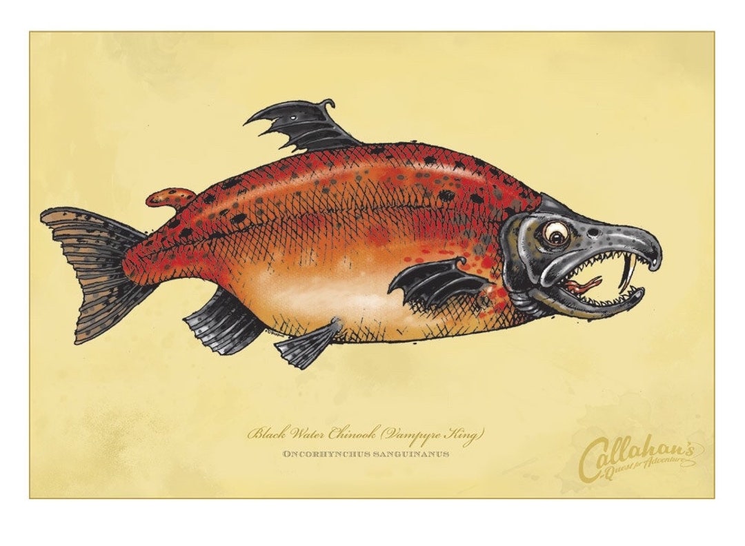 Black Water Chinook Art Print: Signed Fish Illustration (12x18) - Etsy