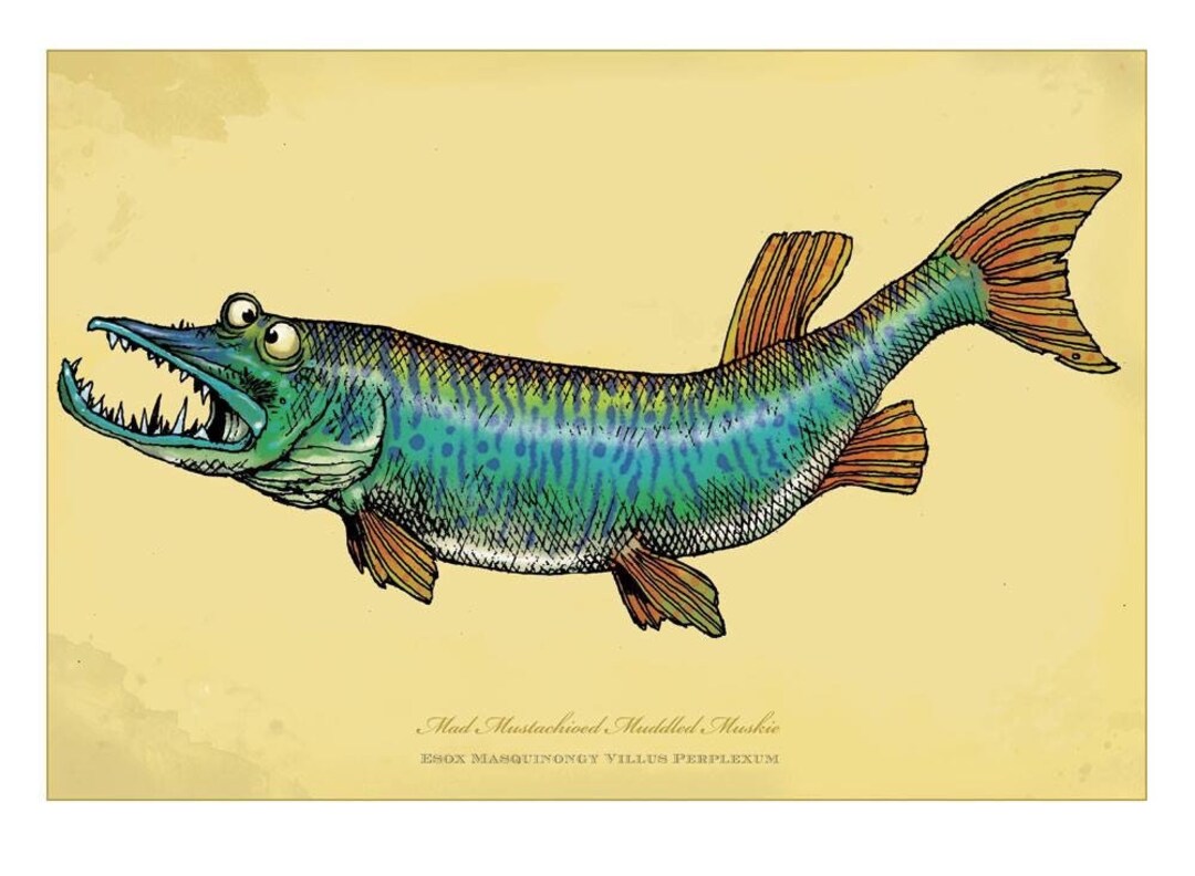 Mad, Mustachioed, Muddled Muskie Signed Print on Bright Paper Using ...