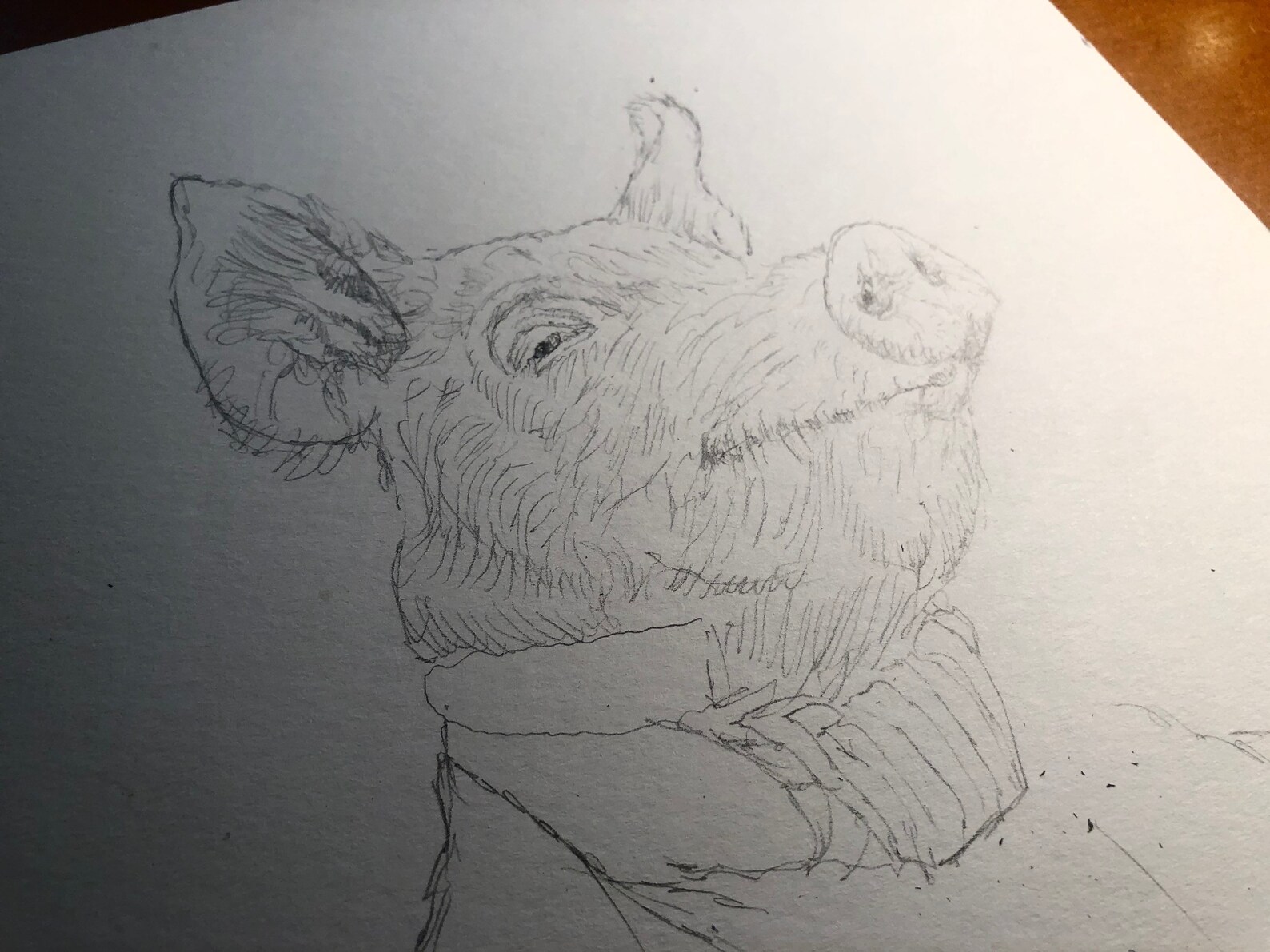 Oliver Pig, Purveyor of Small Lumber. 8X10 Signed Print - Etsy
