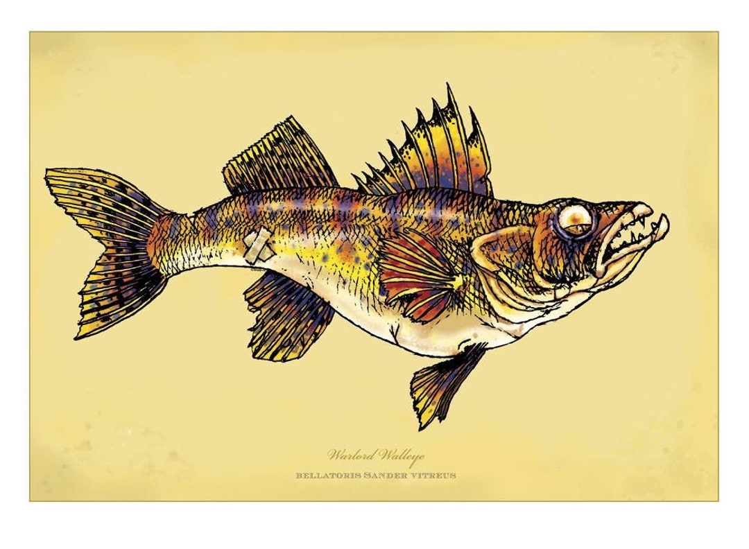 Warlord Walleye Art Print: Signed Wildlife Illustration (12x18”) - Etsy