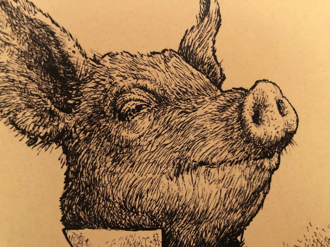 Oliver Pig, Purveyor of Small Lumber. 8X10 Signed Print - Etsy