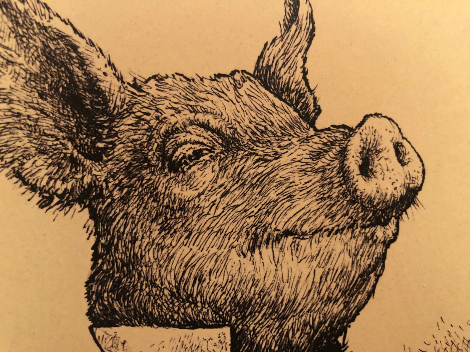 Oliver Pig Purveyor of Small Lumber. 8X10 Signed Print - Etsy