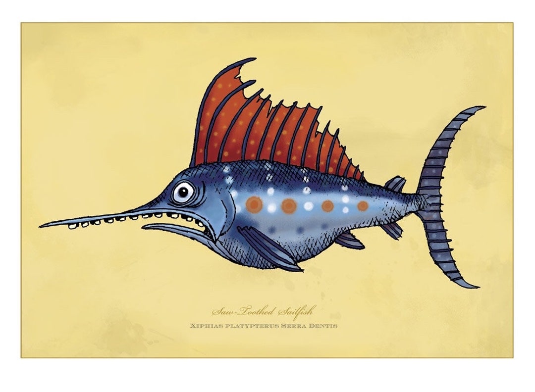 Saw-toothed Sailfish Signed Print on Bright Paper Using Archival Ink ...