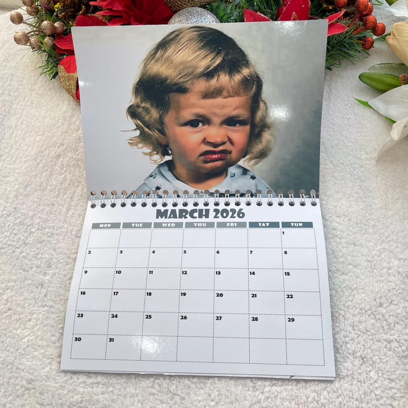 ARRIVE AFTER Xmas | Meme Break 2026 Wall Calendar, Your Daily Meme 2026 ...