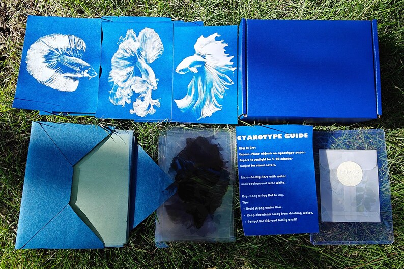 Betta Fish Sun Printing Art Kit – DIY Cyanotype Set, Nature Prints - Etsy