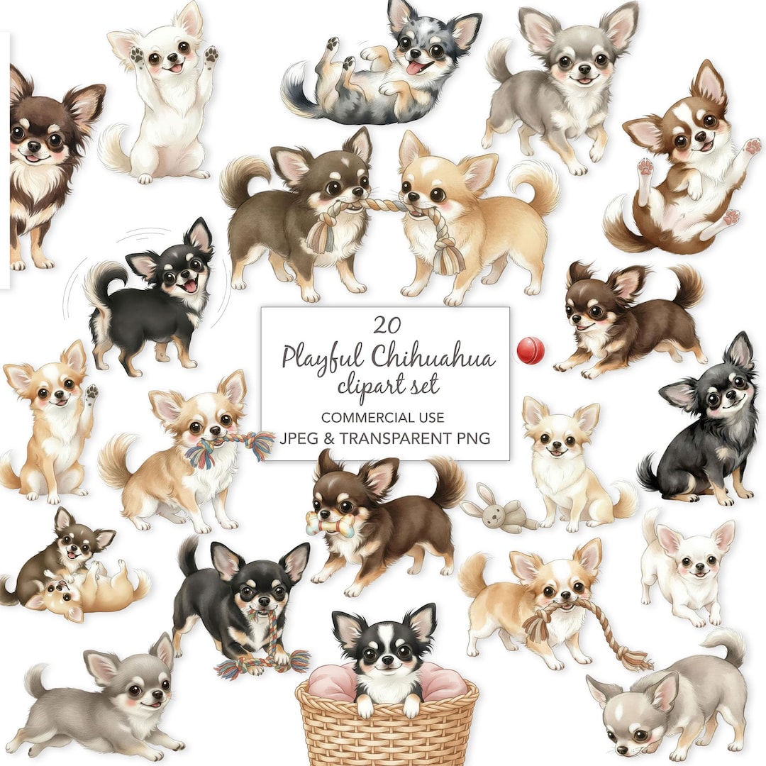 20 Playful Chihuahua Clipart Set, Cute Puppy PNG, Happy Dog Clipart ...