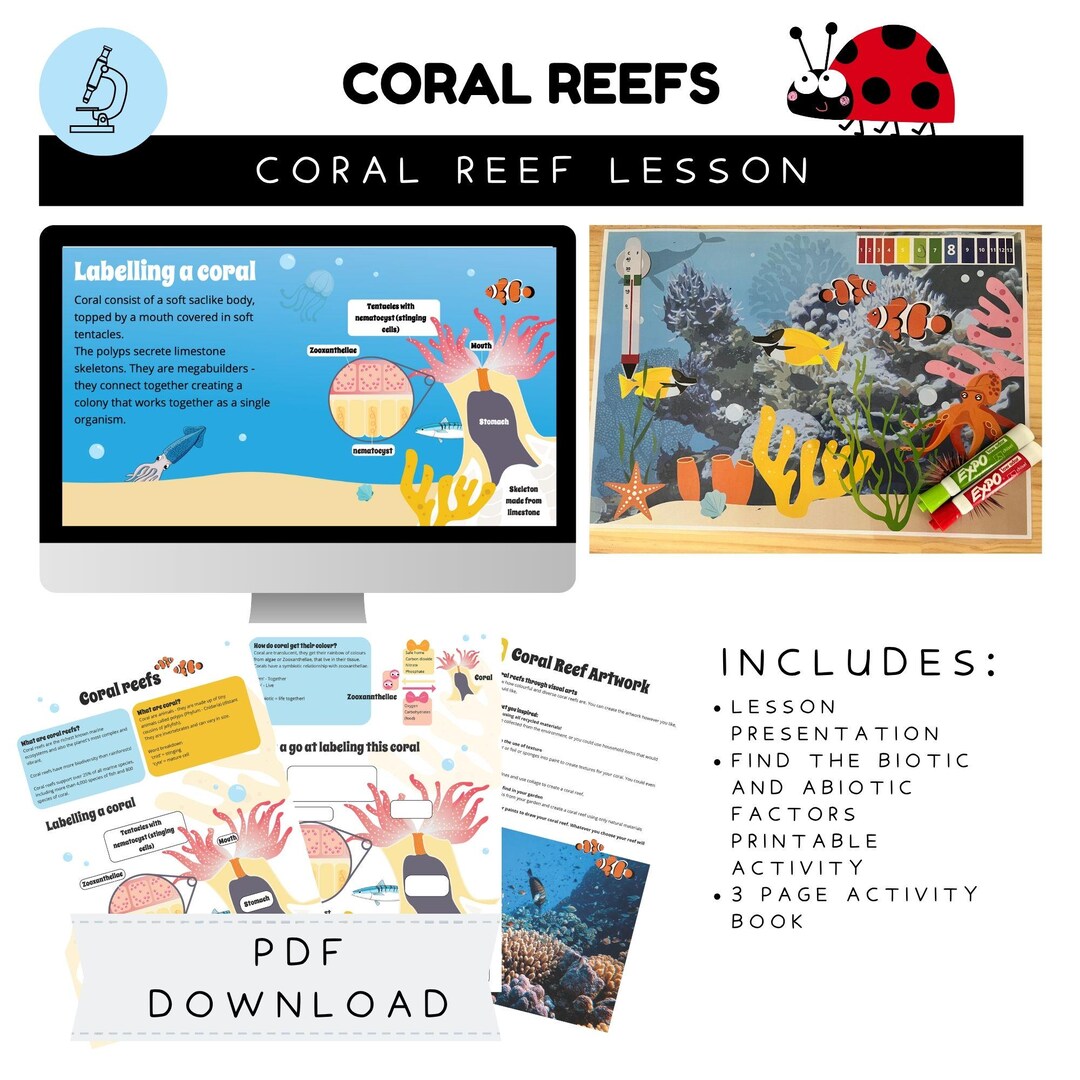 Coral Reef Lesson: Marine Science Activities (digital Printable) - Etsy