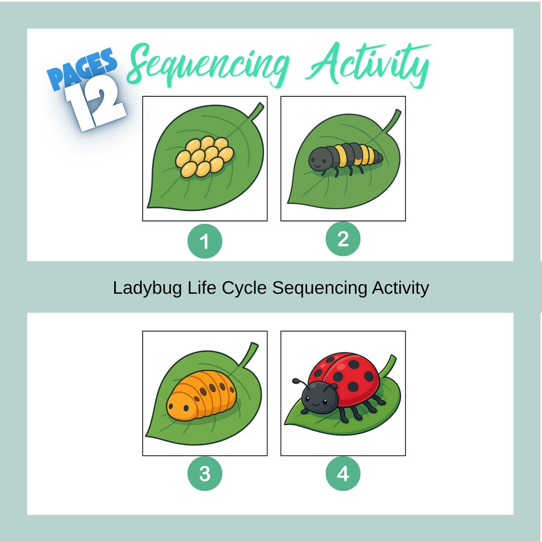 Ladybug Life Cycle Sequencing Activity for Kids, Printable Story Cards ...