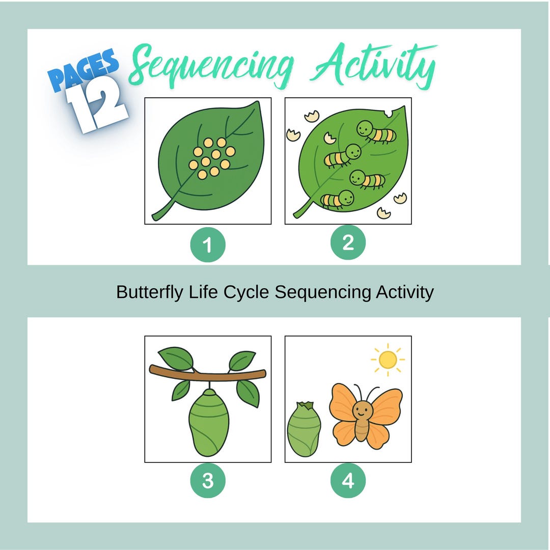 Butterfly Life Cycle Sequencing Activity for Kids, Printable Story ...