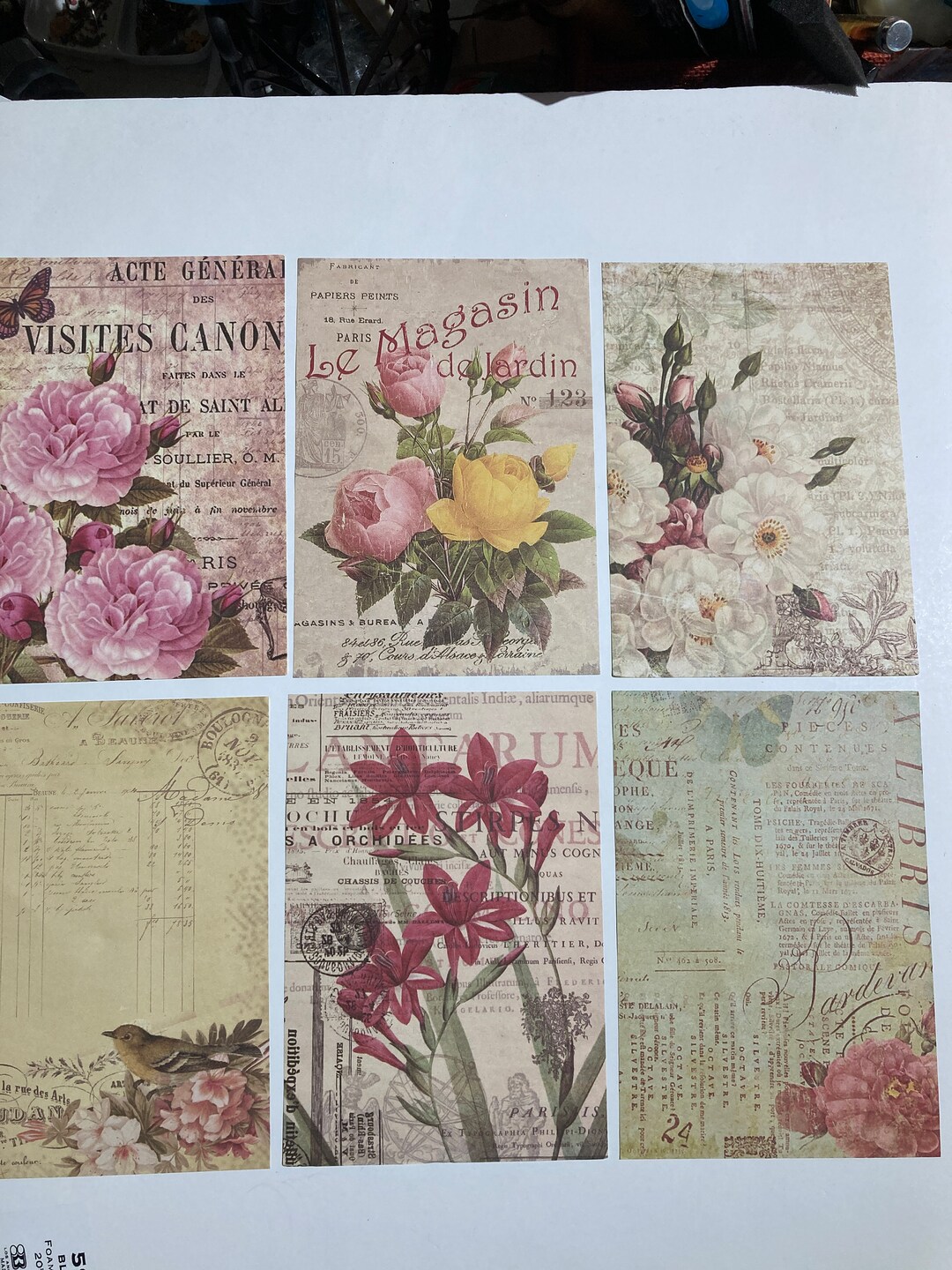 NEW!!! Paper Ephemera Botanical Collage Sheets ( Set of 15) Journaling ...