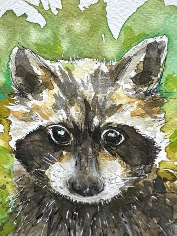 Raccoon Watercolor Painting Original Watercolor and Ink - Etsy