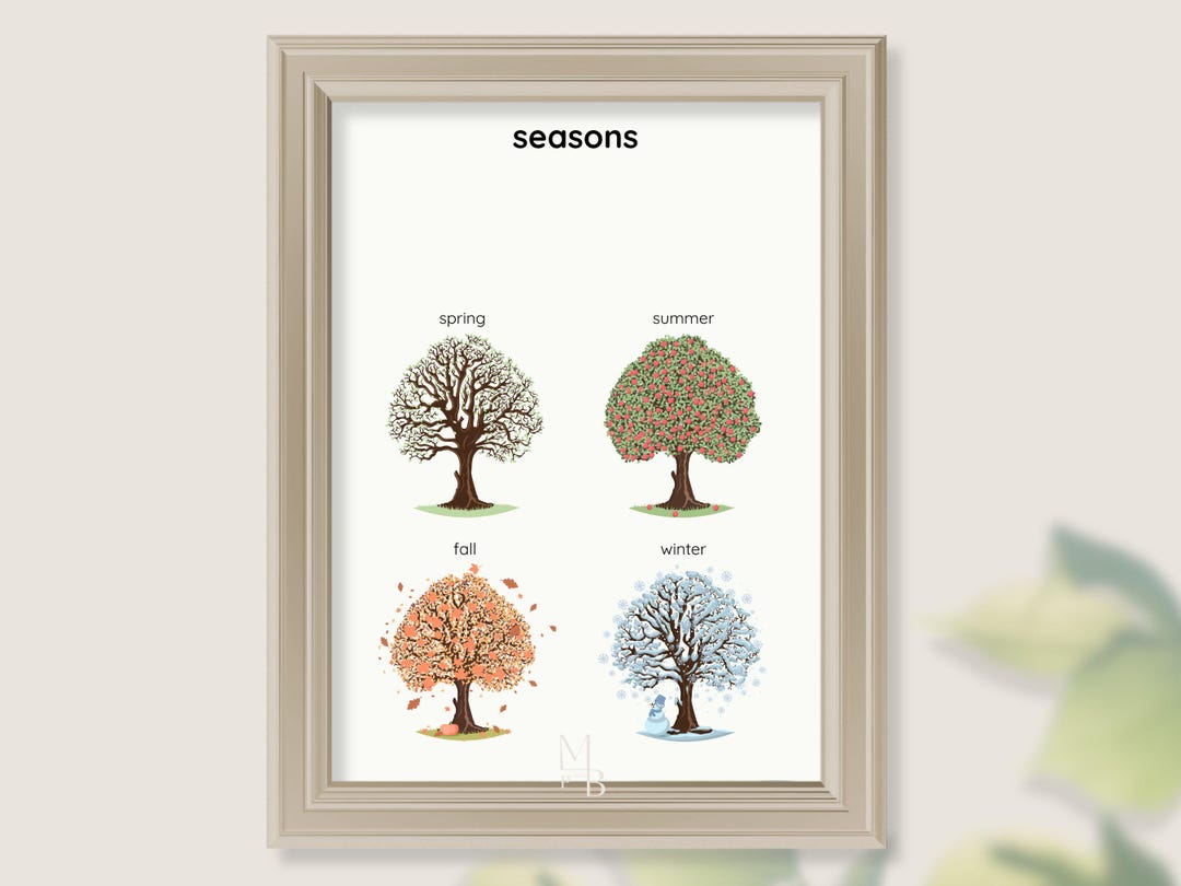 Montessori Seasons and Weather Poster, Kids Learning Bundle, Calm ...