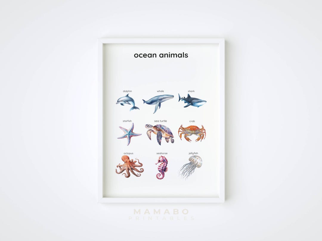 Ocean Animals Poster, Sea Creatures Chart, Montessori Educational Print ...