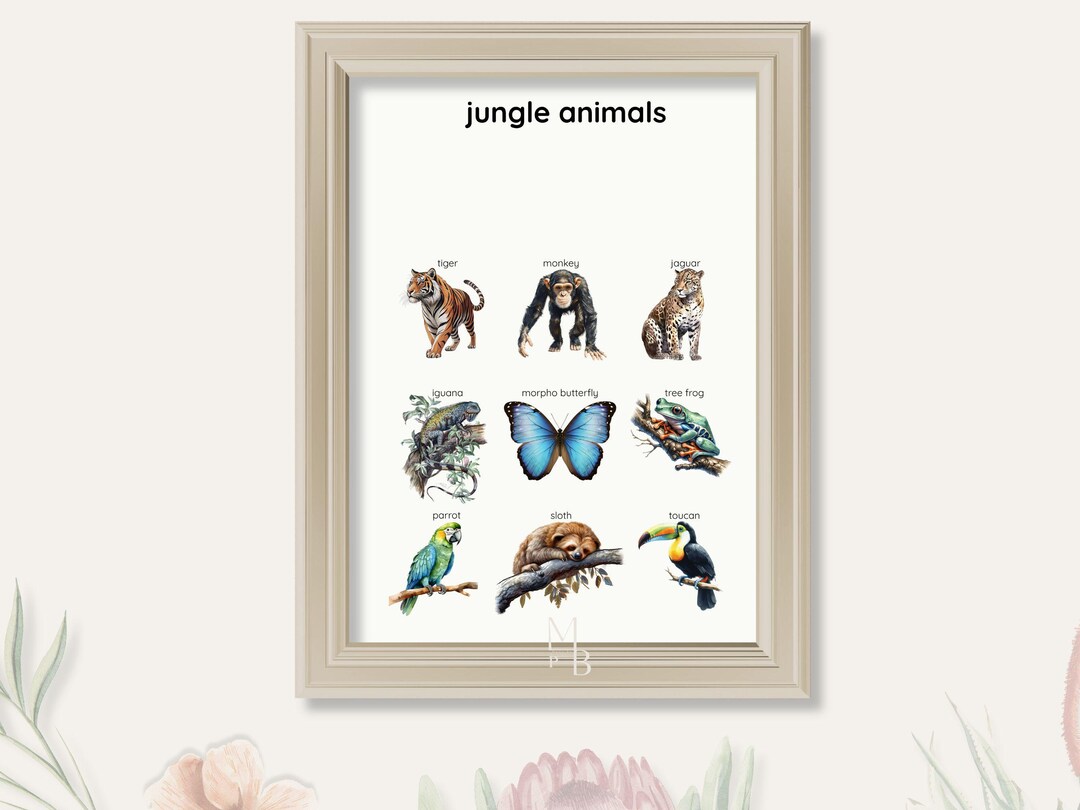Montessori Jungle Animals Poster, Tropical Wildlife Print, Classroom ...
