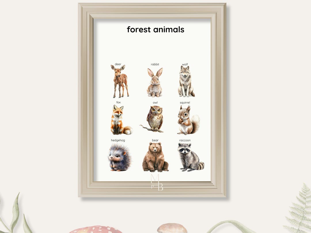 Forest Animals Poster – Montessori Woodland Wildlife Chart for Kids - Etsy
