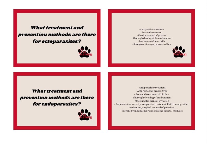 Vet Nursing Parasite Flashcard Bundle - Etsy