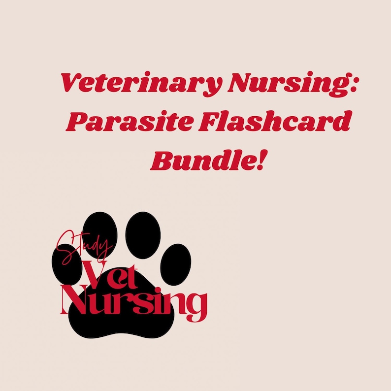 Vet Nursing Parasite Flashcard Bundle - Etsy