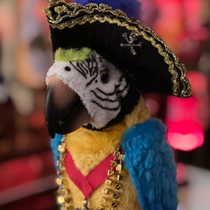Animatronic Talking Pirate Parrot - Etsy