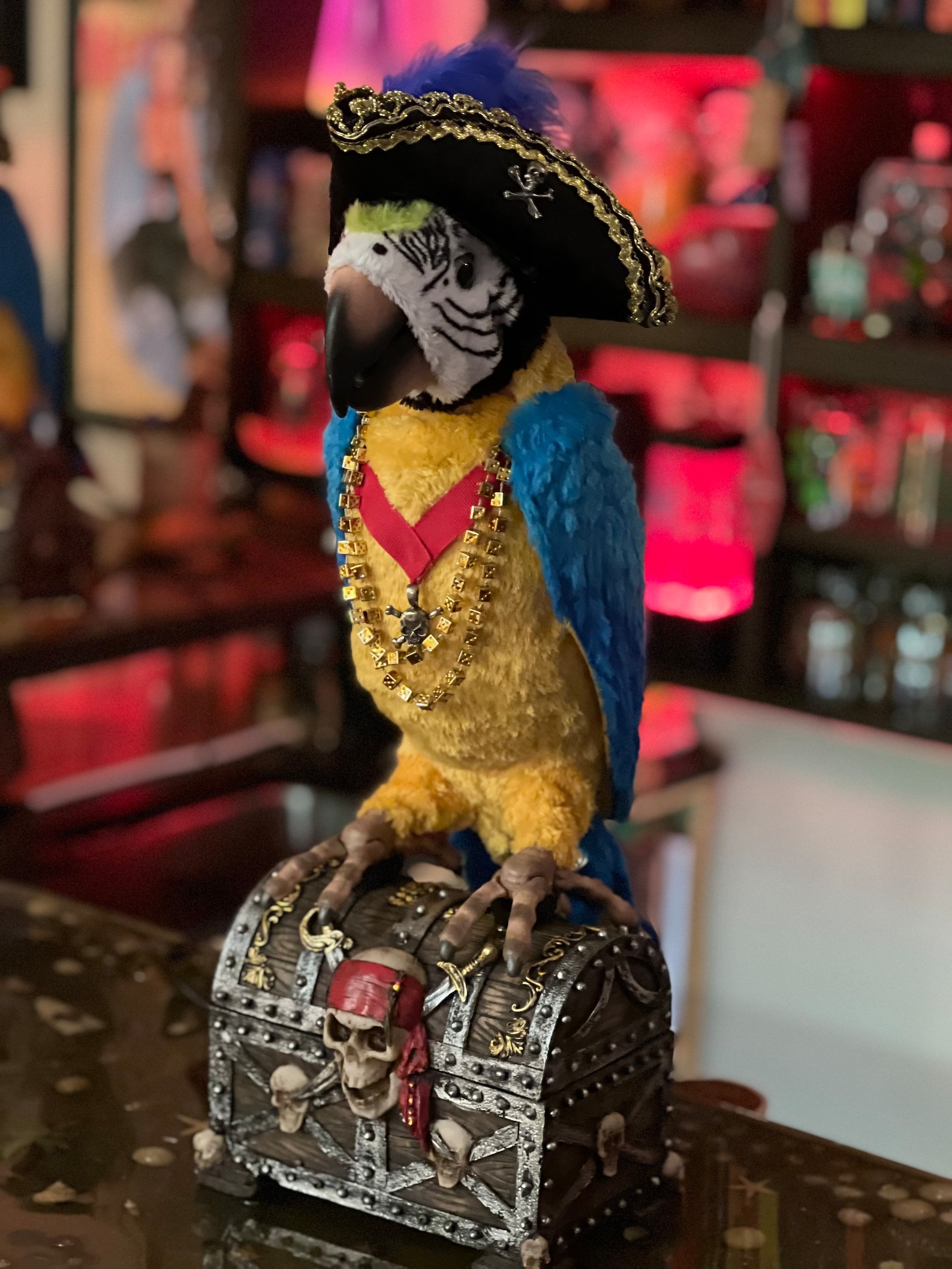 Animatronic Talking Pirate Parrot - Etsy