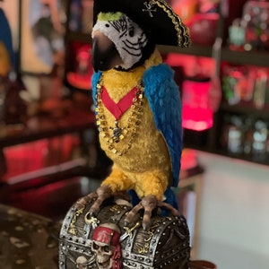 Animatronic Talking Pirate Parrot - Etsy