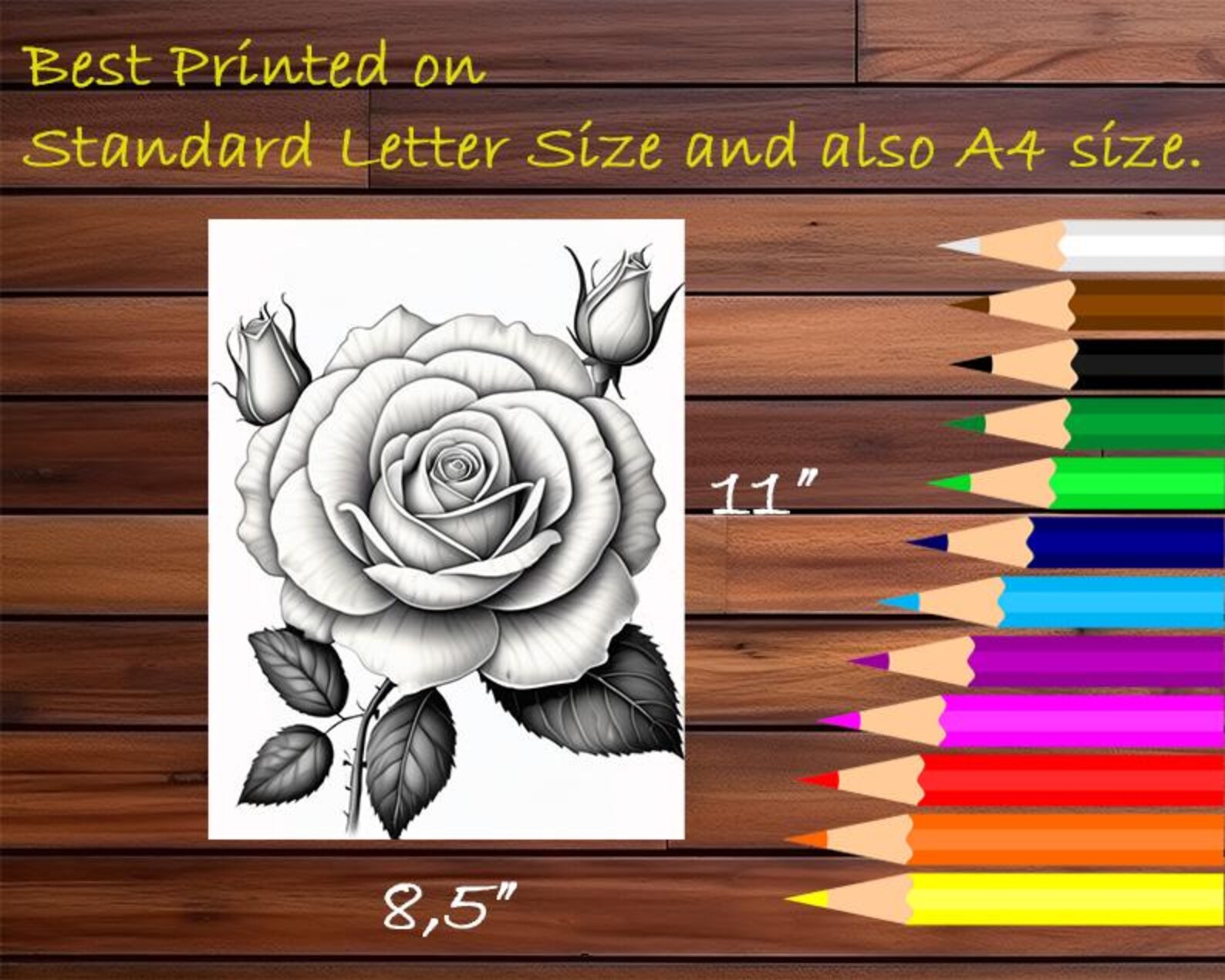 25 Rose Coloring Pages: Floral Art for Adults & Kids (printable PDF) - Etsy