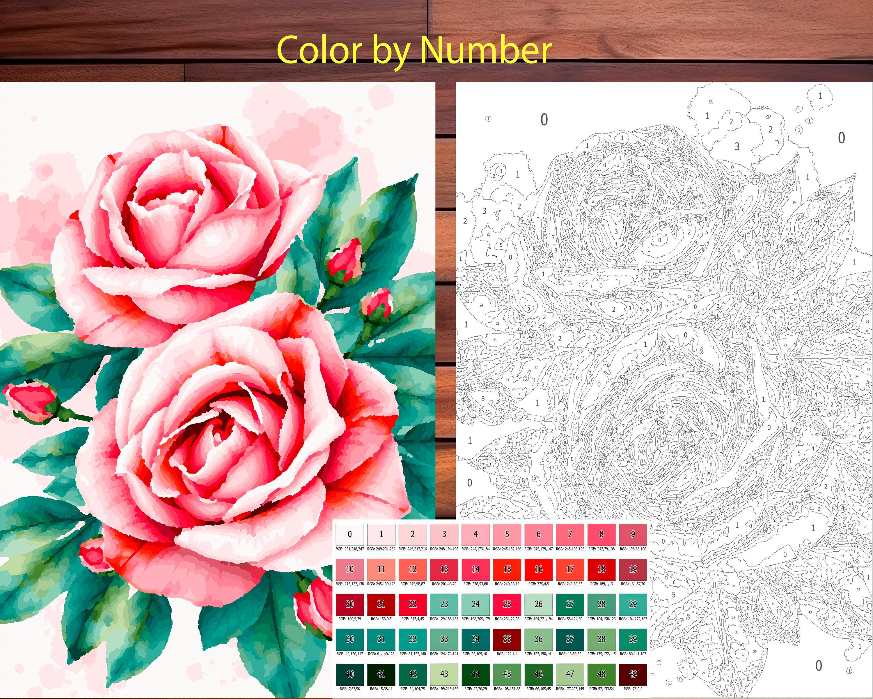 Watercolor Roses Paint by Numbers Kit – 24/30/50 Colors | Floral PBN ...