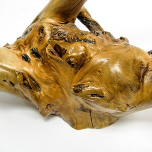 TREE ROOT SCULPTURE, One of a Kind, Found in the Woods, Root Sculpture ...