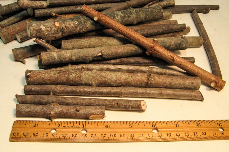 SHORT TWIG CUTTINGS Wooden Parts Wooden Shapes Twigs - Etsy UK