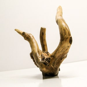 TREE ROOT SCULPTURE, One of a Kind, Found in the Woods, Root Sculpture ...