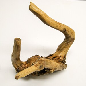 TREE ROOT SCULPTURE, One of a Kind, Found in the Woods, Root Sculpture ...