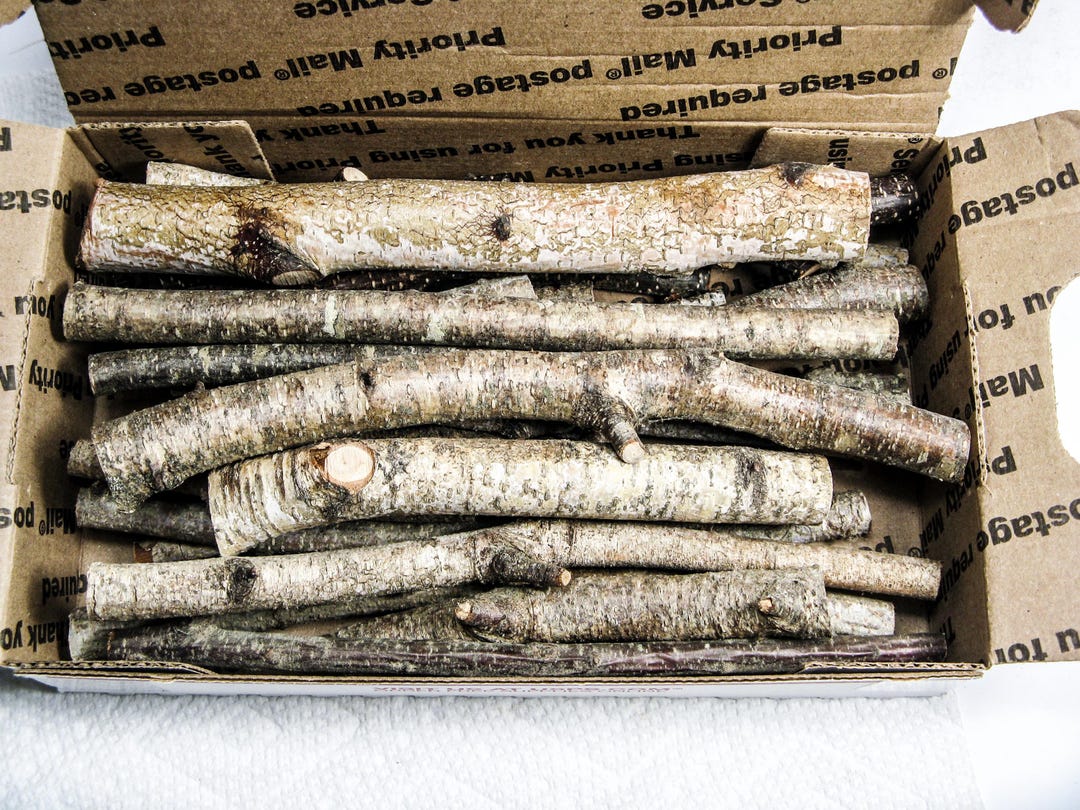 Natural Birch Twigs, Art and Craft Material, Wood Parts, Wood Shapes ...