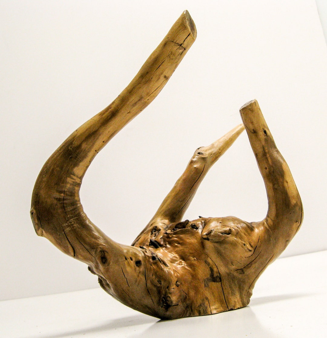Tree Root Sculpture, Found in the Woods, One of a Kind, Root Sculpture ...
