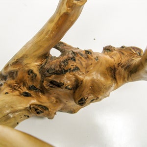 TREE ROOT SCULPTURE, One of a Kind, Found in the Woods, Root Sculpture ...