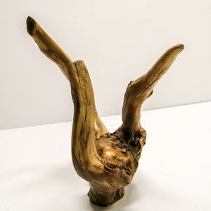 TREE ROOT SCULPTURE, One of a Kind, Found in the Woods, Root Sculpture ...
