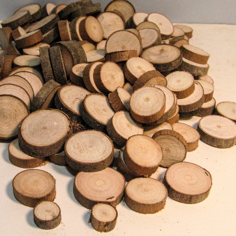 Tree Branch Slices - Etsy