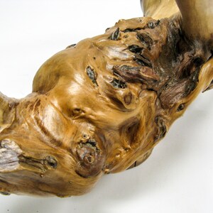 TREE ROOT SCULPTURE, One of a Kind, Found in the Woods, Root Sculpture ...