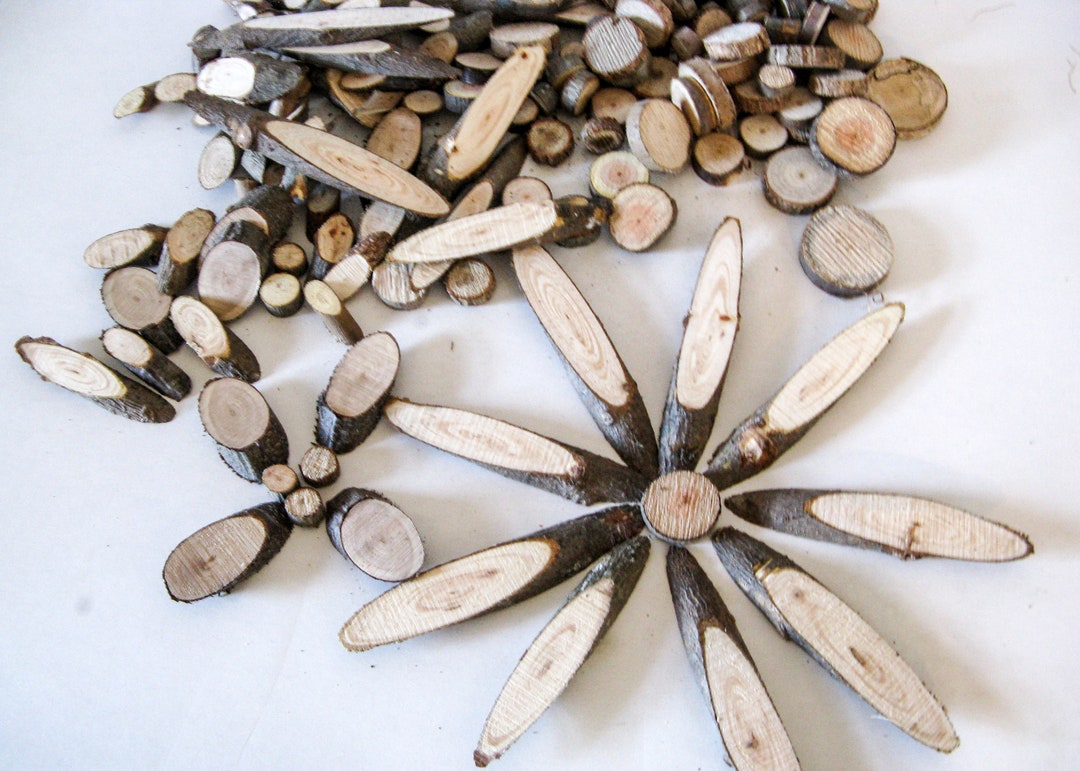 Oval and Round Twig Slices, Art and Craft Materials, Wood Parts, Wood ...