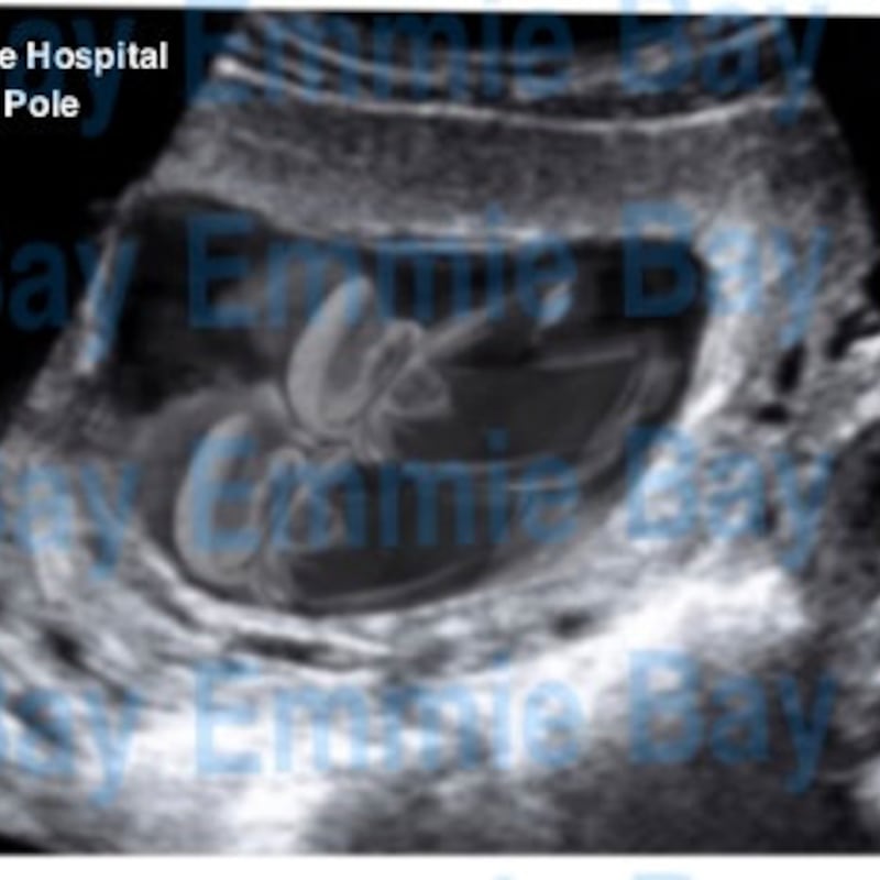 Pregnant Elf on Shelf - Etsy