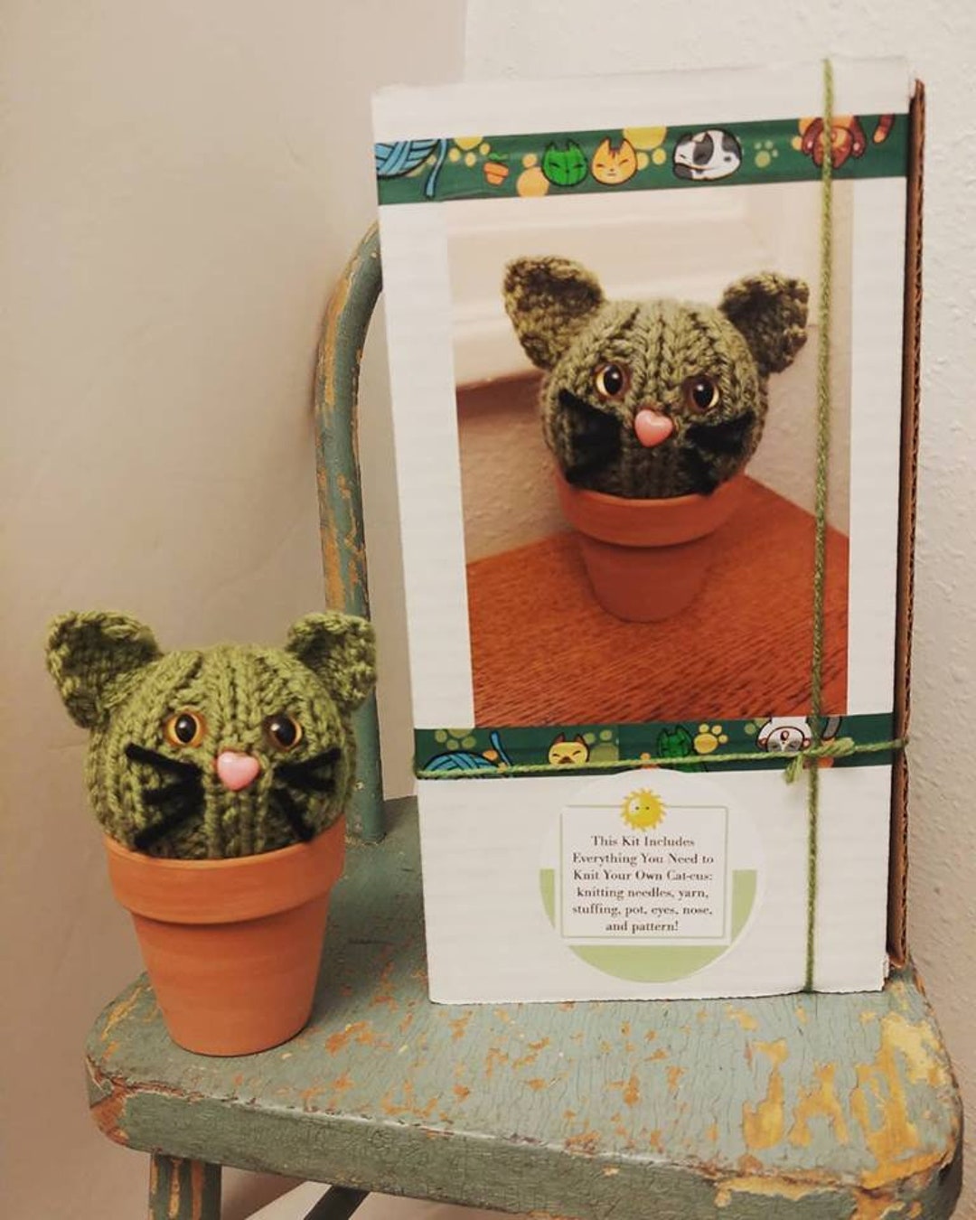 Kitty Cactus Knit Kit: DIY Cat-cus Knitting Pattern - Etsy