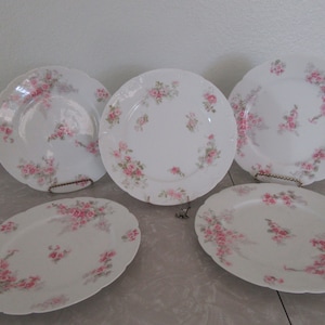 Perfectly Cottage Vintage Limoges Haviland CH Field GOA France Serving ...