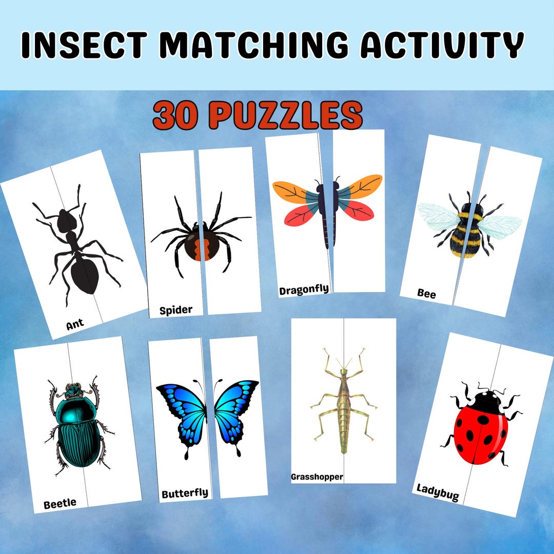 Insect Matching Activity Printable | 30 Insect Puzzle Cards | Symmetry ...