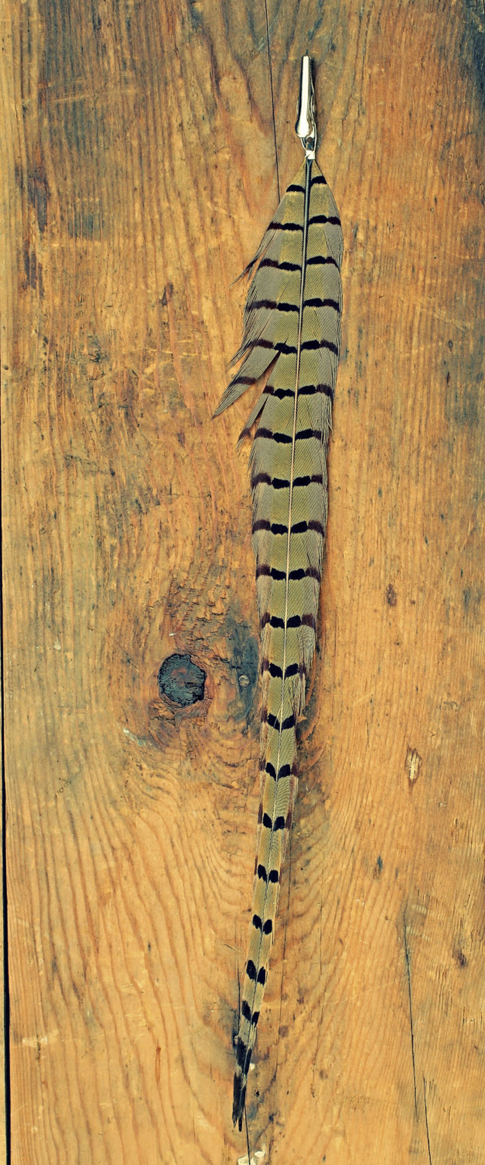 Handmade Extra Long Pheasant Feather Extension Hair Clip, 10 Inches ...