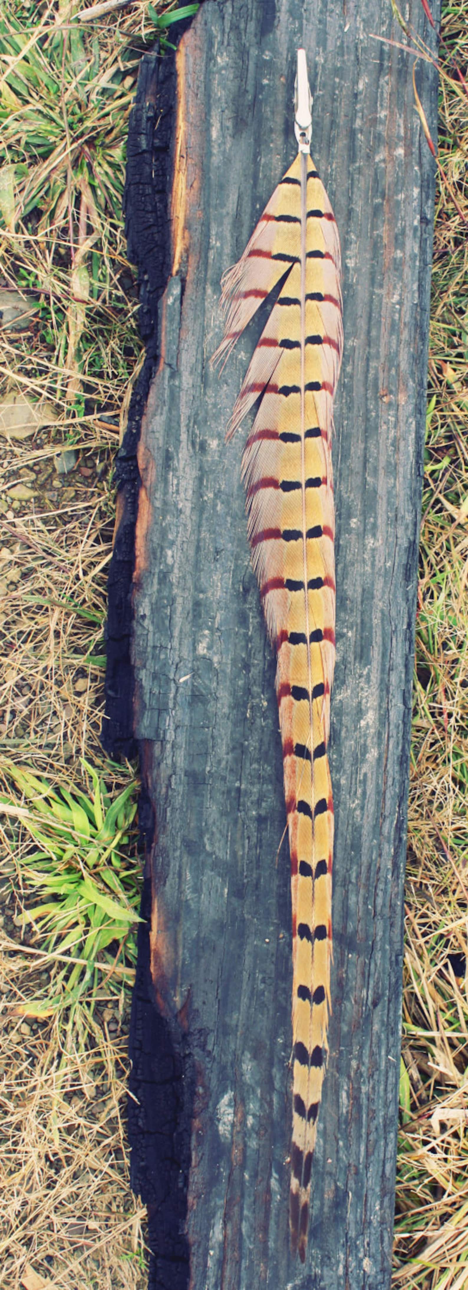 Handmade Extra Long Pheasant Feather Extension Hair Clip, 10 Inches ...