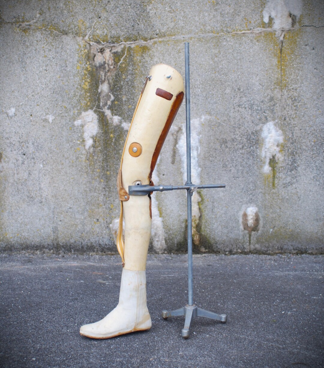 Small Children Size Prosthetic Leg Above Knee Amputee Metal With Rack ...