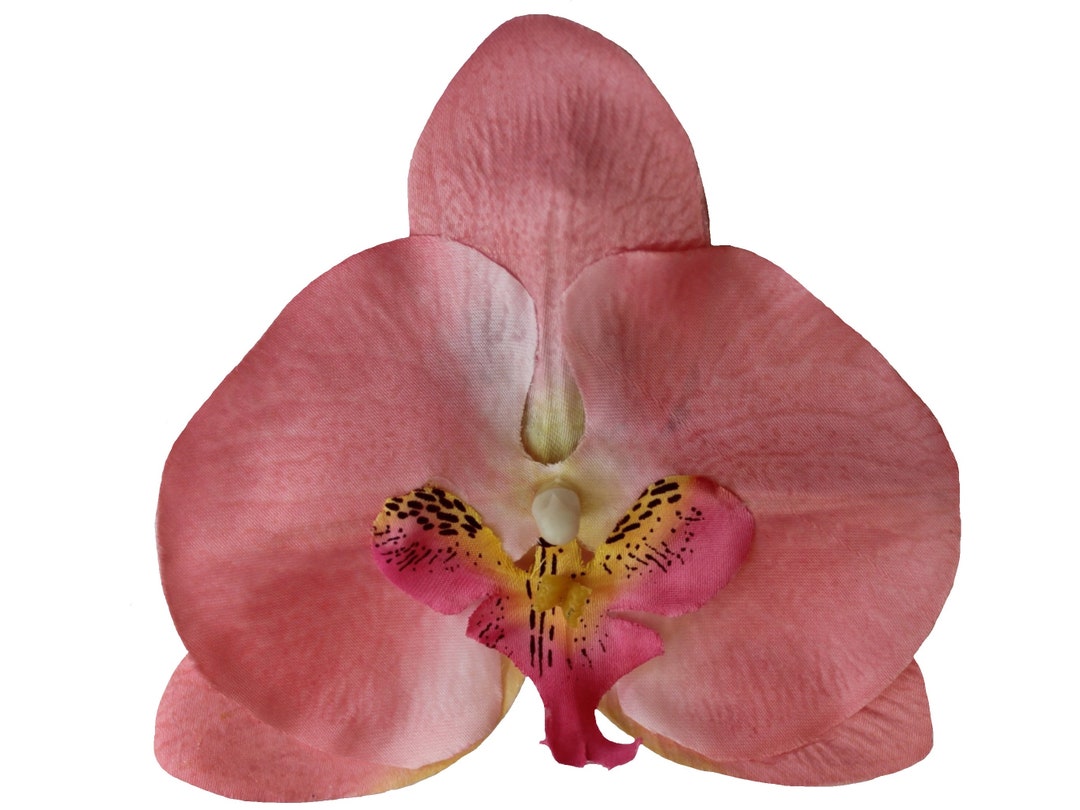 CECE Flache Orchidee Haarspange - Hell Rosa - Etsy.de
