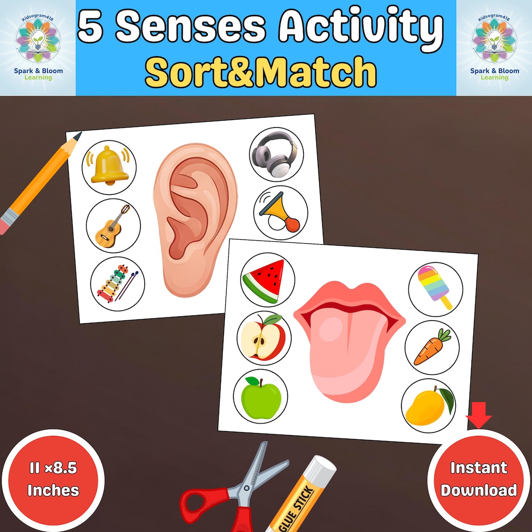Five Senses Activity Printable|preschool Curriculum Homeschool ...