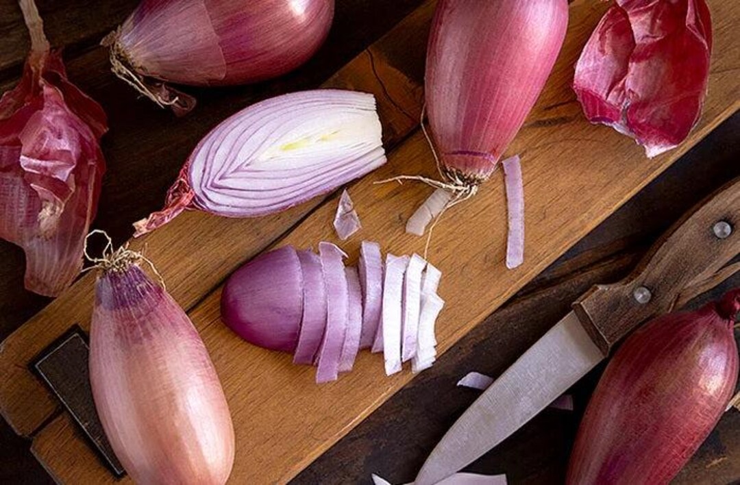 Red Torpedo Onion 150 - 2 Oz Seeds | Heirloom Seeds | Open Pollinated ...