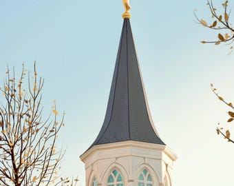 Provo City Center Temple Window - Etsy