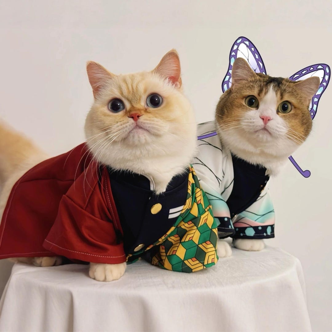 Demon Slayer Giyu Tomioka Pet Haori Small-medium Cat Dog Anime Cosplay ...