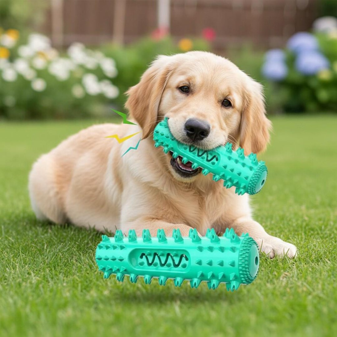 Dental Chew Toy for Dogs – Plaque Fighting Teeth Cleaner With Fresh ...